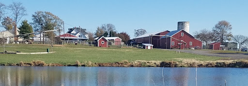 Homestead Security System for home and barns - Farm Cameras